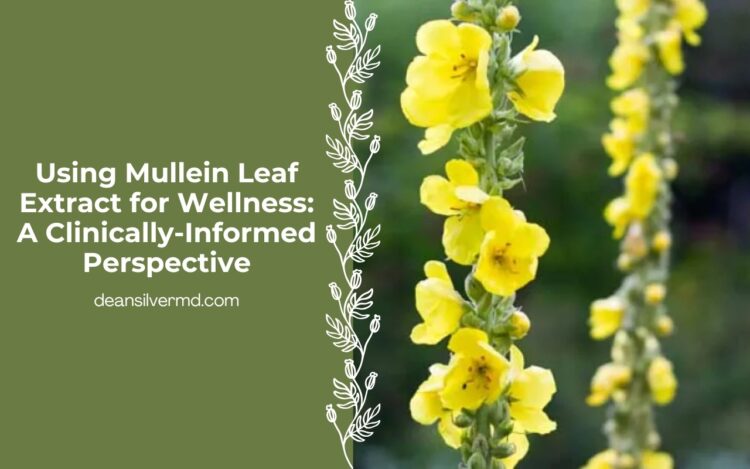 Using Mullein Leaf Extract for Wellness: A Clinically-Informed ...
