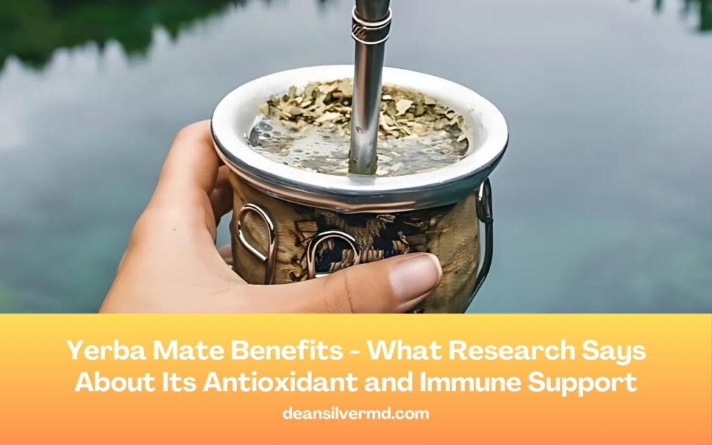 Yerba Mate Benefits - What Research Says About Its Antioxidant and ...