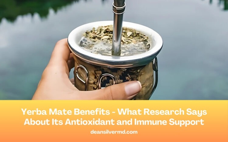 Yerba Mate Benefits - What Research Says About Its Antioxidant and ...